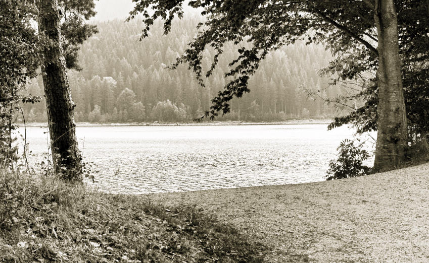 Badeseen rund um Stuttgart: Top Highlights zum Abtauchen